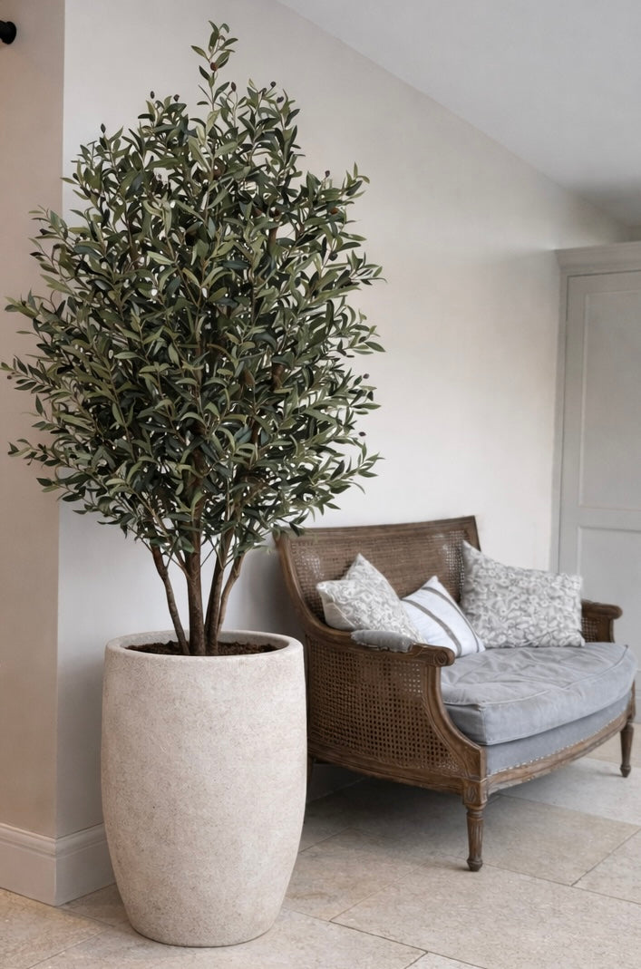Faux Olive Tree - Extra Large 170cm – Habitual Home